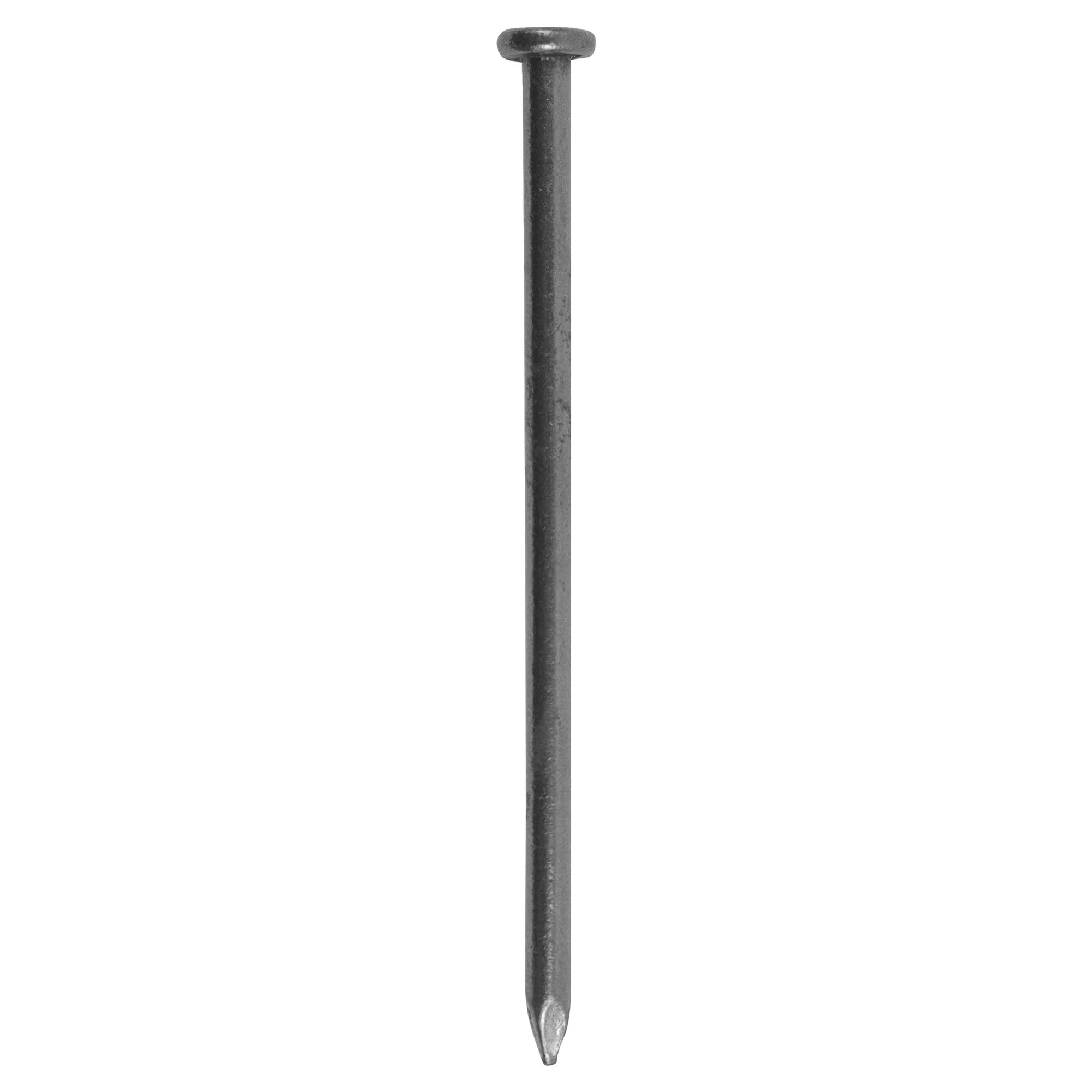 Grip-Rite 12D 3-1/4 in. Common Bright Steel Nail Flat Head 1 lb ...